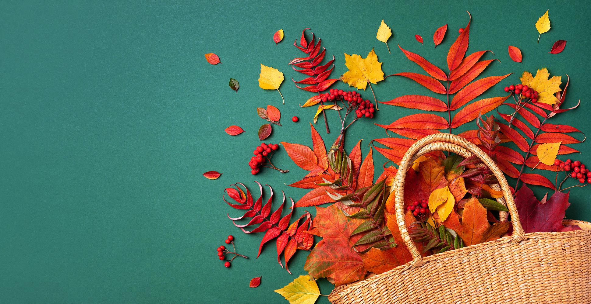 Embracing Autumns Transition with Self Care - GTSD